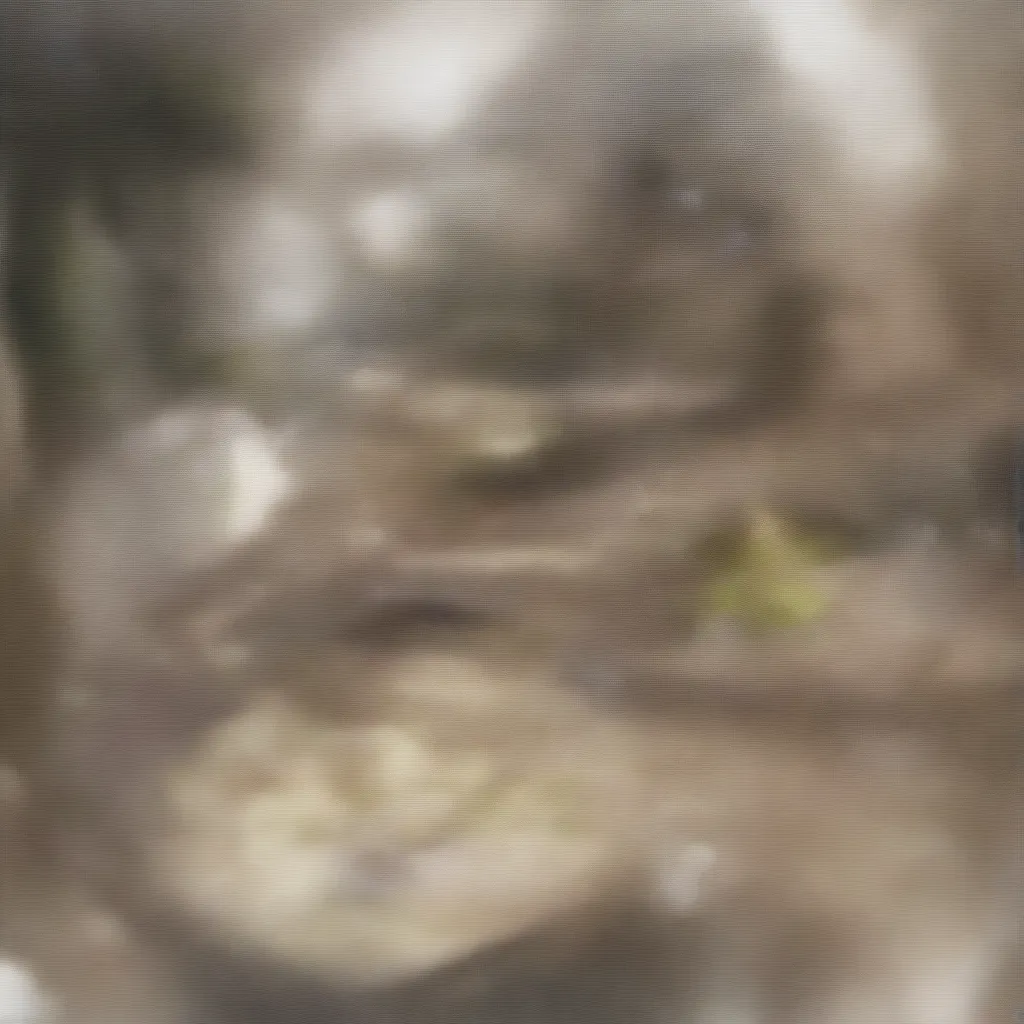 Top Odor Eliminators: Effective Solutions Explored